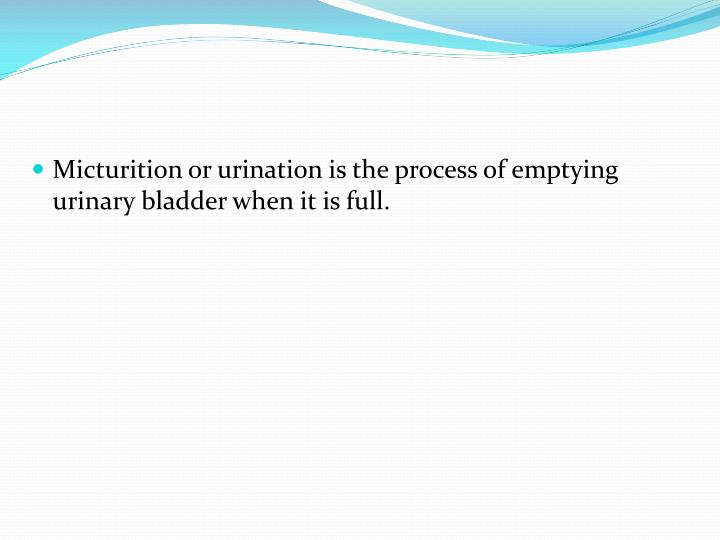 PPT - MICTURITION REFLEX PowerPoint Presentation - ID:2241161