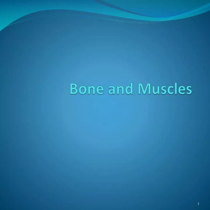 PPT - Bone and Muscles PowerPoint Presentation, free download - ID:2241178
