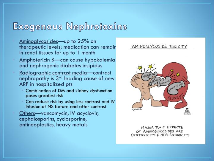 PPT - Urology/Nephrology PowerPoint Presentation - ID:2241231