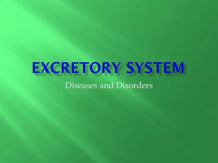 PPT - Excretory System PowerPoint Presentation, free download - ID:2241257
