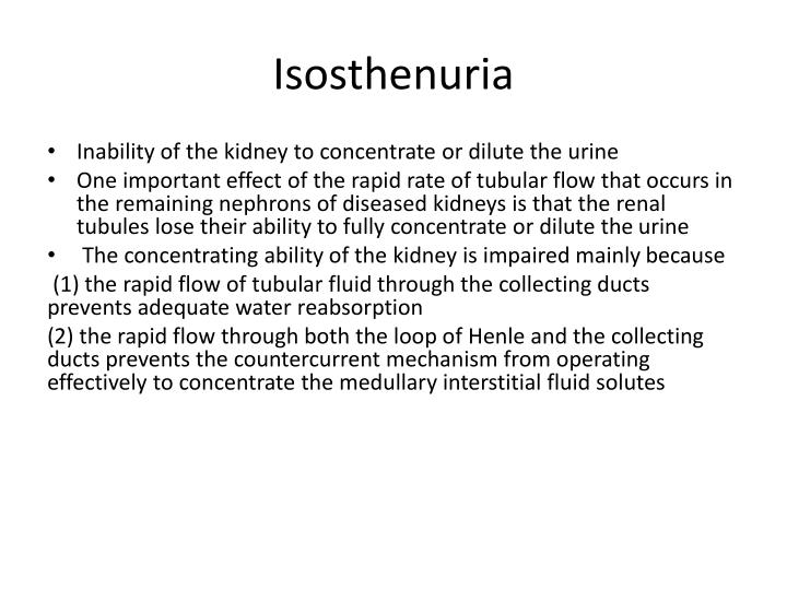 PPT - Diuretics PowerPoint Presentation - ID:2241330