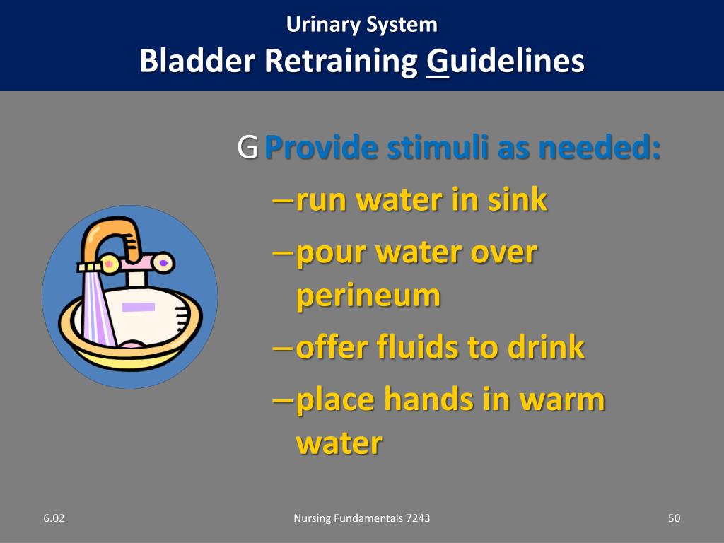 PPT - Unit B Nurse Aide Resident Care Skills Essential Standard NA6.00 ...