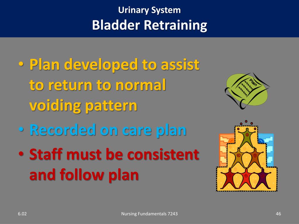 PPT - Unit B Nurse Aide Resident Care Skills Essential Standard NA6.00 ...