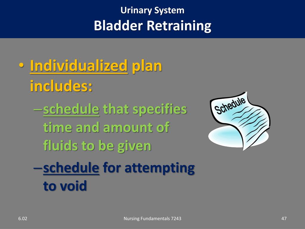PPT - Unit B Nurse Aide Resident Care Skills Essential Standard NA6.00 ...