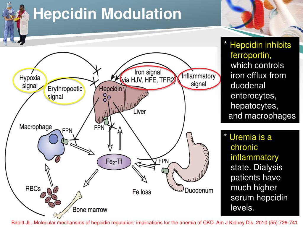 PPT - E rythropoietin -stimulating agents resistance and new anemia ...