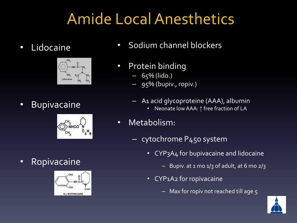 PPT - Kiddie-Caudals Caudal Epidural Analgesia in Everyday Pediatric ...