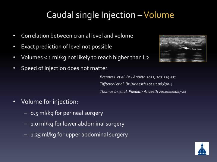 PPT - Kiddie-Caudals Caudal Epidural Analgesia in Everyday Pediatric ...