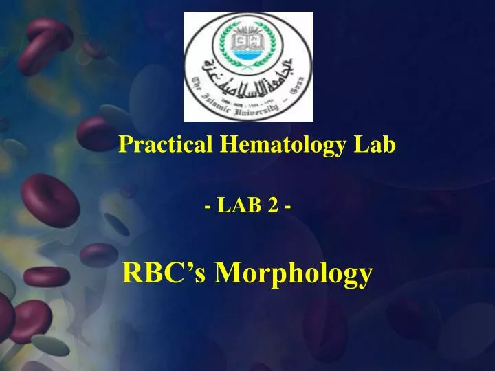 PPT - RBC’s Morphology PowerPoint Presentation, free download - ID:2241450
