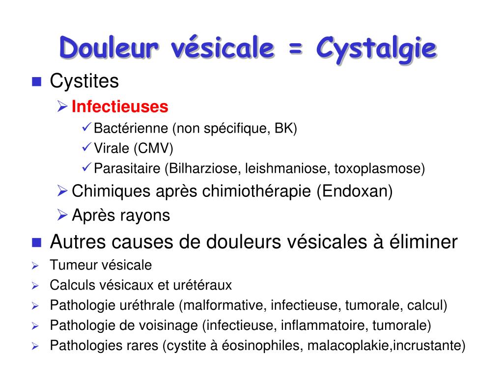 PPT - Syndrome Douloureux Vésical / Cystite interstitielle PowerPoint ...