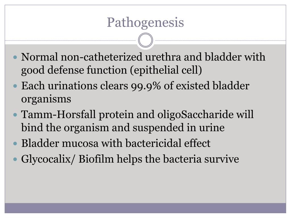 PPT - Healthcare Associated Urinary Tract Infection Epidemiology And ...