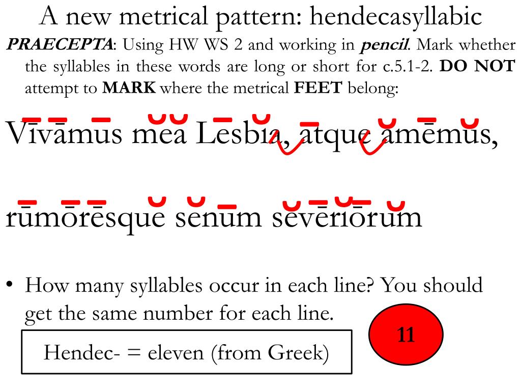 PPT - DO THE FOLLOWING: Put all items away, elegiac couplet quiz will ...
