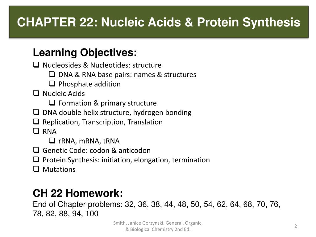 PPT - CHAPTER 22: Nucleic Acids & Protein Synthesis General, Organic ...