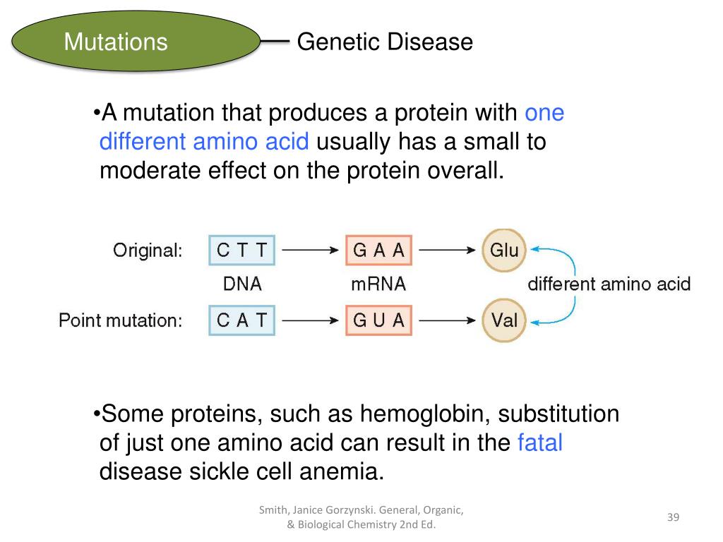 PPT - CHAPTER 22: Nucleic Acids & Protein Synthesis General, Organic ...