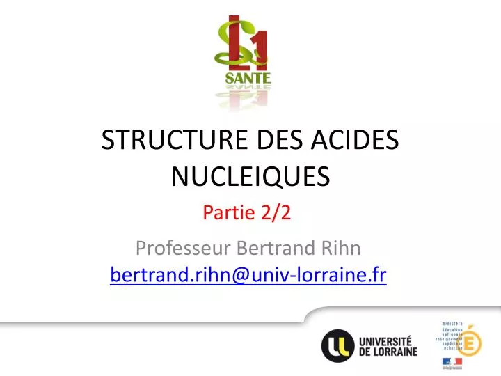 PPT - STRUCTURE DES ACIDES NUCLEIQUES PowerPoint Presentation, free ...