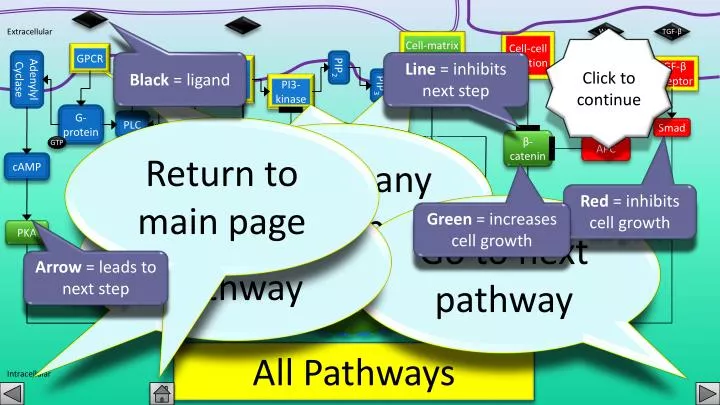 PPT - All Pathways PowerPoint Presentation, free download - ID:2242693