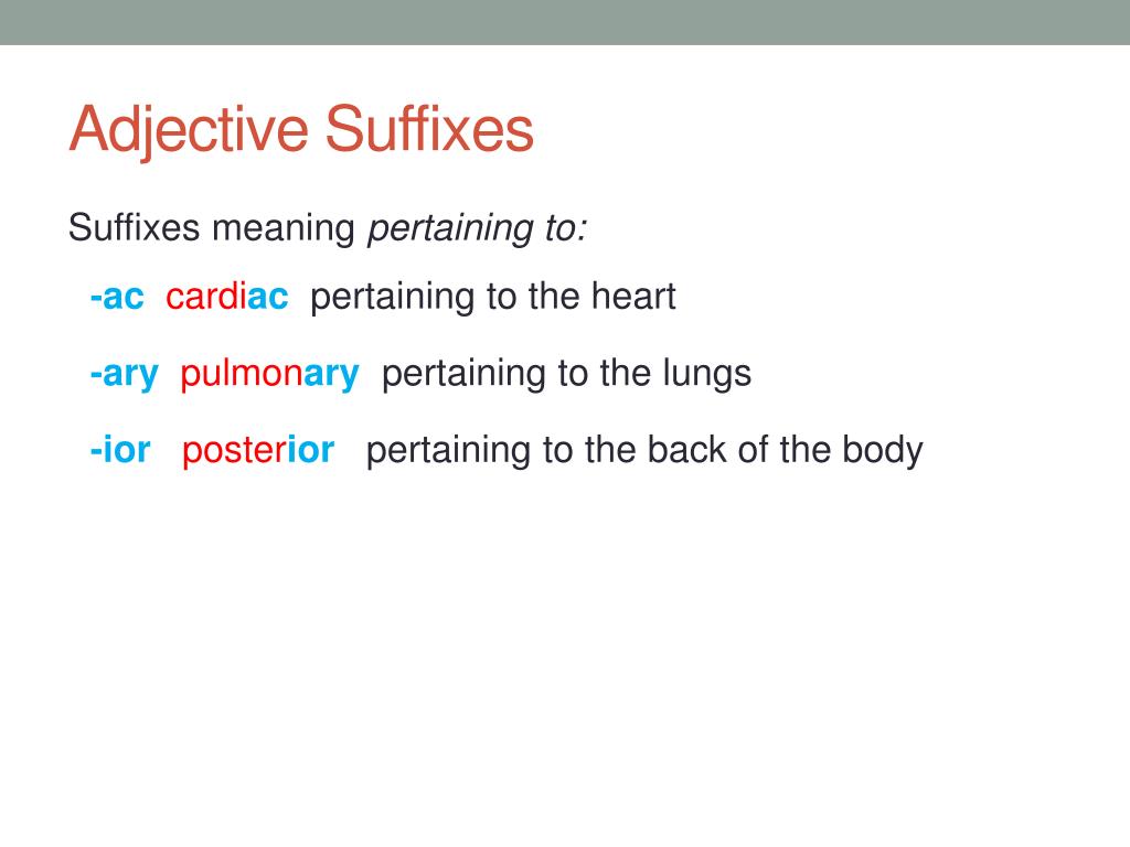 PPT - MED 103: Medical Terminology PowerPoint Presentation, free ...