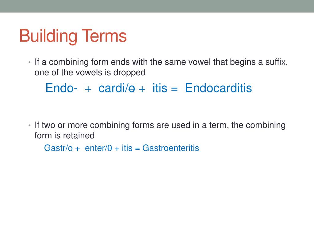 PPT - MED 103: Medical Terminology PowerPoint Presentation, free ...
