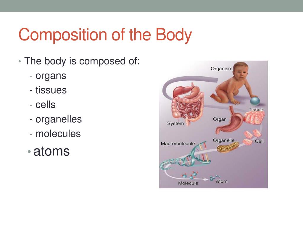 Ppt Med 103 Medical Terminology Powerpoint Presentation Free