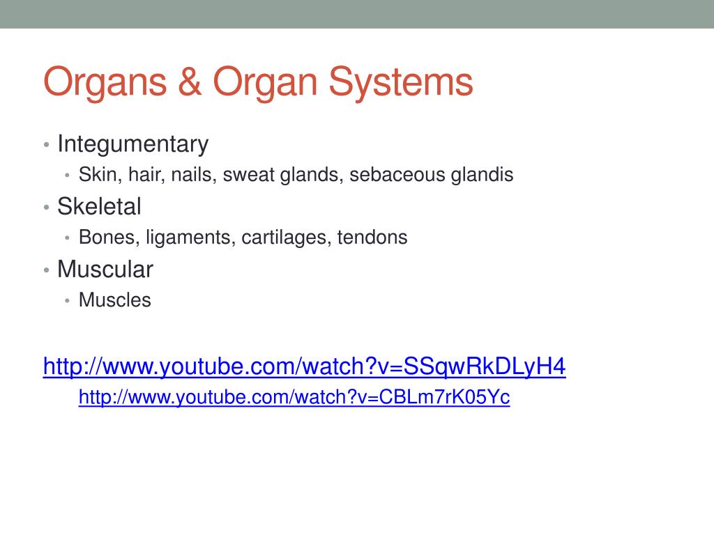 Ppt Med 103 Medical Terminology Powerpoint Presentation Free