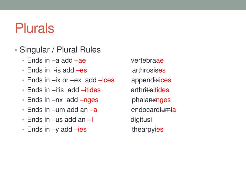 PPT - MED 103: Medical Terminology PowerPoint Presentation, free ...