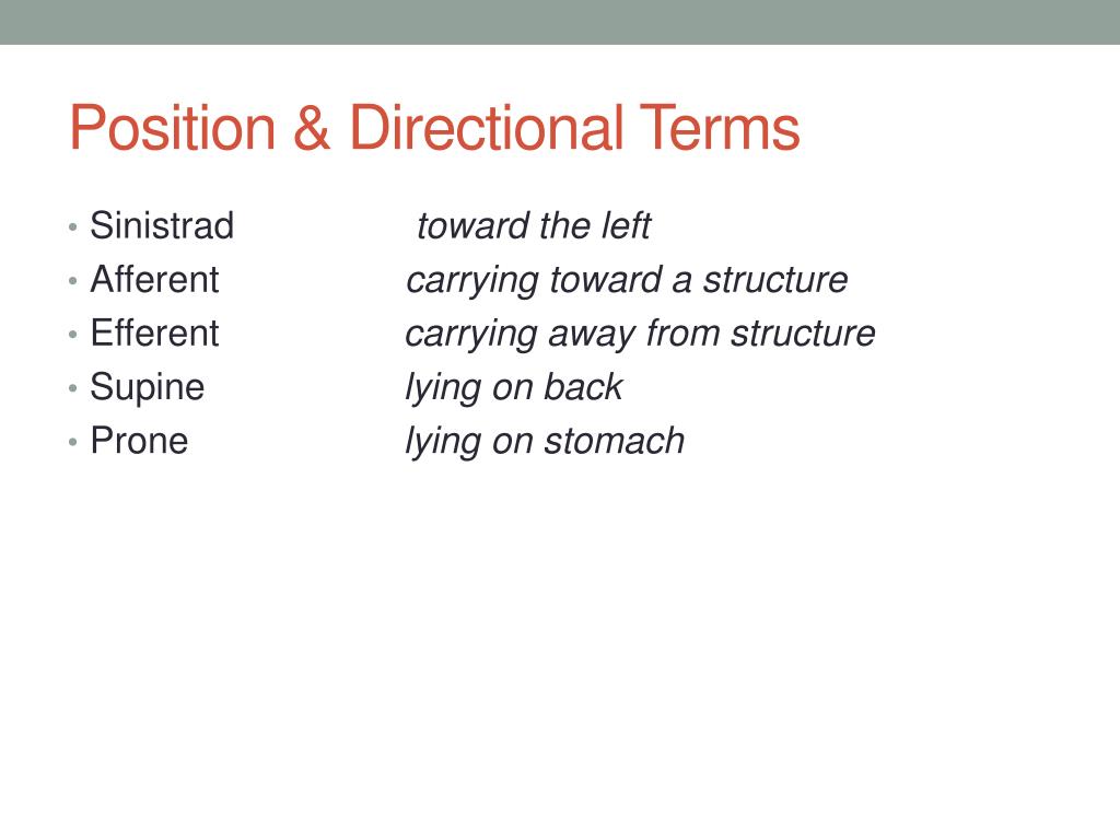 PPT - MED 103: Medical Terminology PowerPoint Presentation, free ...