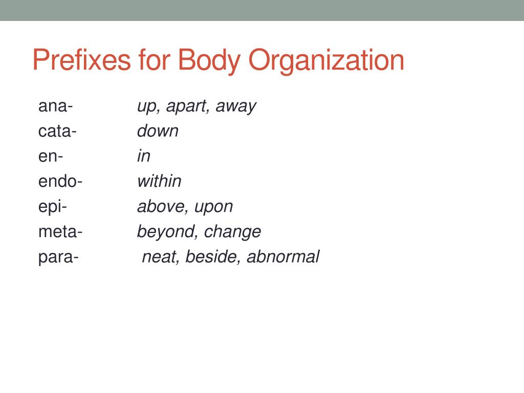 PPT - MED 103: Medical Terminology PowerPoint Presentation, free ...