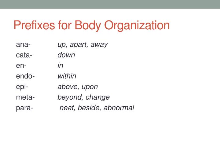 PPT - MED 103: Medical Terminology PowerPoint Presentation - ID:2242698