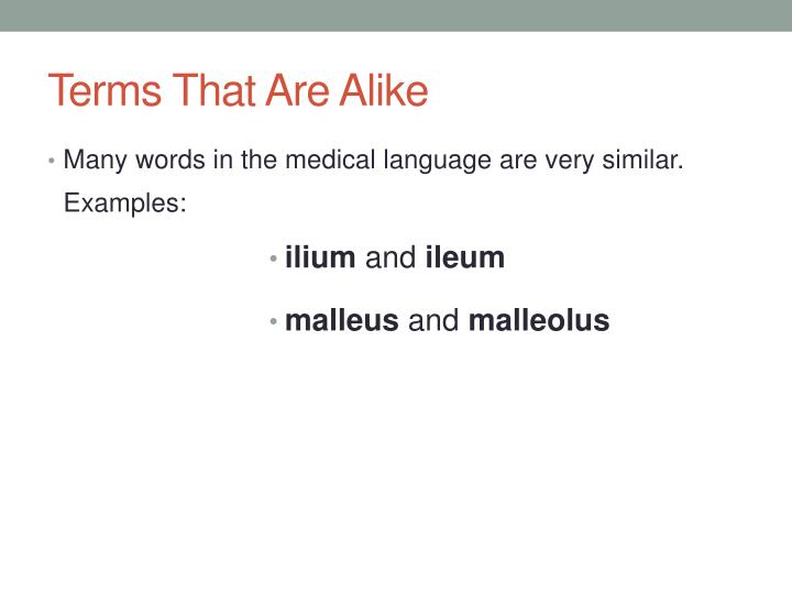 PPT - MED 103: Medical Terminology PowerPoint Presentation - ID:2242698