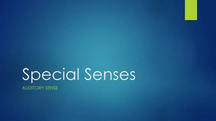 PPT - Special Senses PowerPoint Presentation, free download - ID:2242965