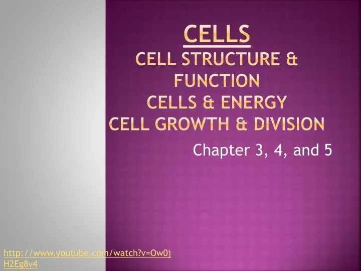 PPT - Cells Cell Structure & Function Cells & Energy Cell Growth ...