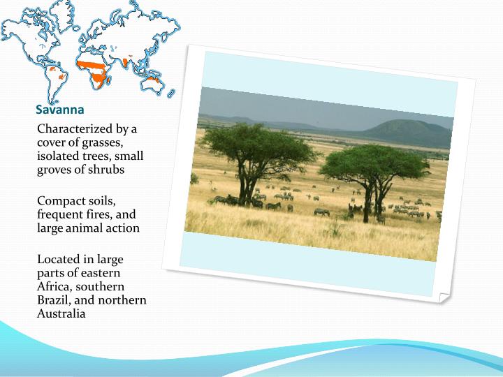 PPT - Intro to Biomes PowerPoint Presentation - ID:2243091