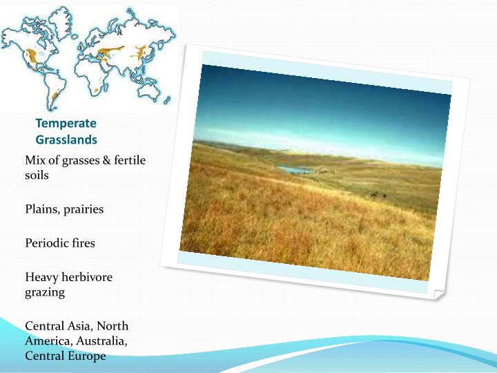 PPT - Intro to Biomes PowerPoint Presentation - ID:2243091