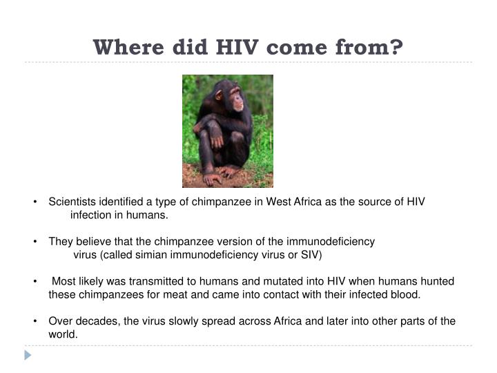 Where Did Aids Come From