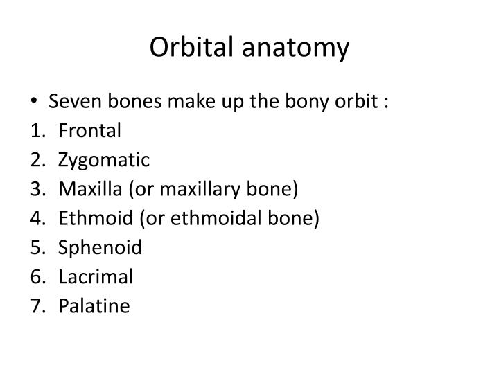 PPT - Anatomy And Embryology Of The Eye And Ocular Adnexa PowerPoint ...