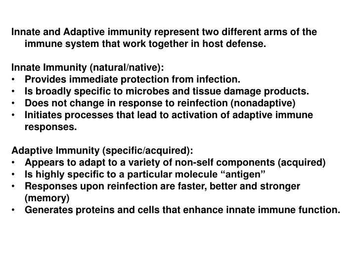 PPT - The Adaptive Immune Response PowerPoint Presentation - ID:2243452