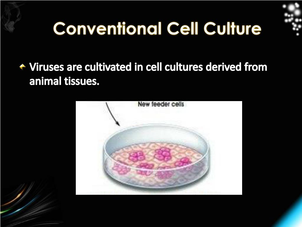PPT - Diagnosis of Viral infections PowerPoint Presentation, free ...
