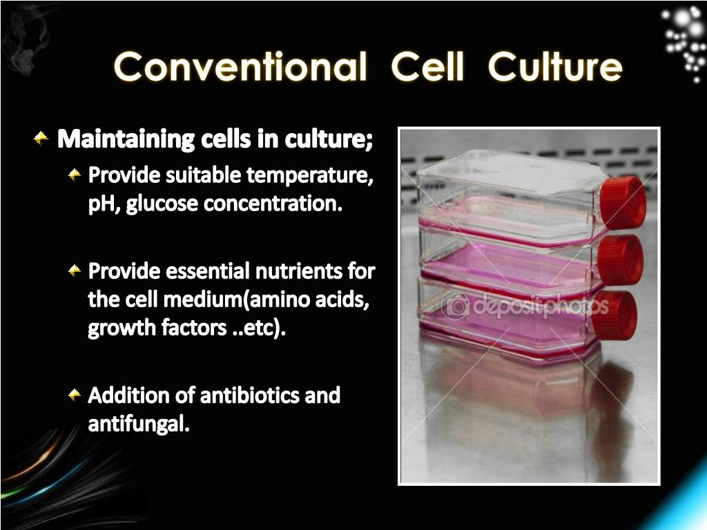 PPT - Diagnosis of Viral infections PowerPoint Presentation, free ...