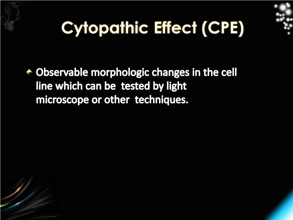 PPT - Diagnosis of Viral infections PowerPoint Presentation, free ...