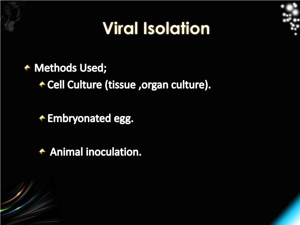 PPT - Diagnosis of Viral infections PowerPoint Presentation, free ...