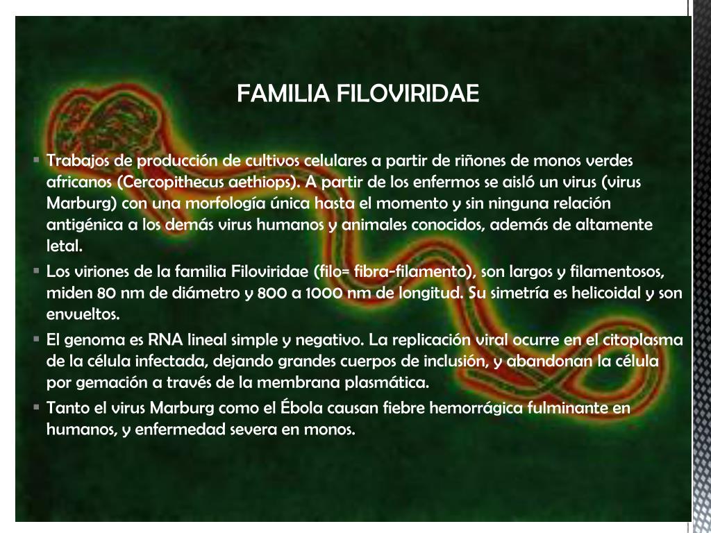 PPT - VIROLOGIA VETERINARIA PowerPoint Presentation, free download - ID ...