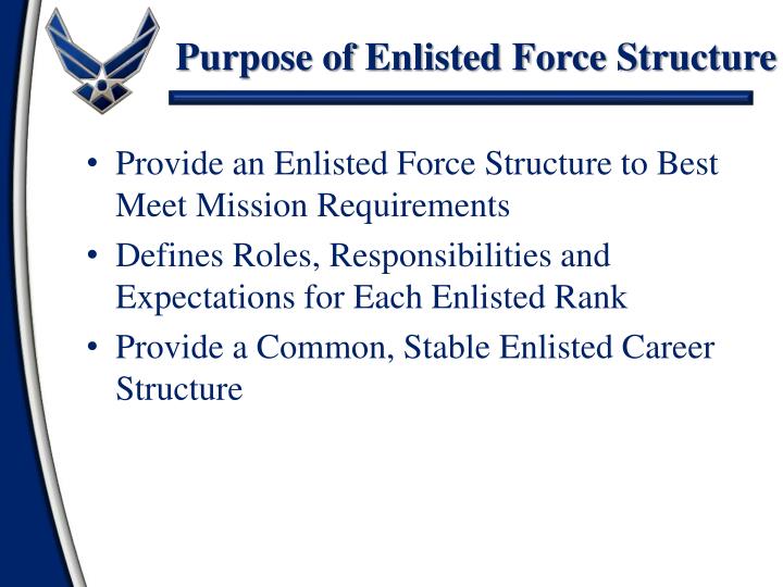 PPT - THE ENLISTED FORCE PowerPoint Presentation - ID:2244221