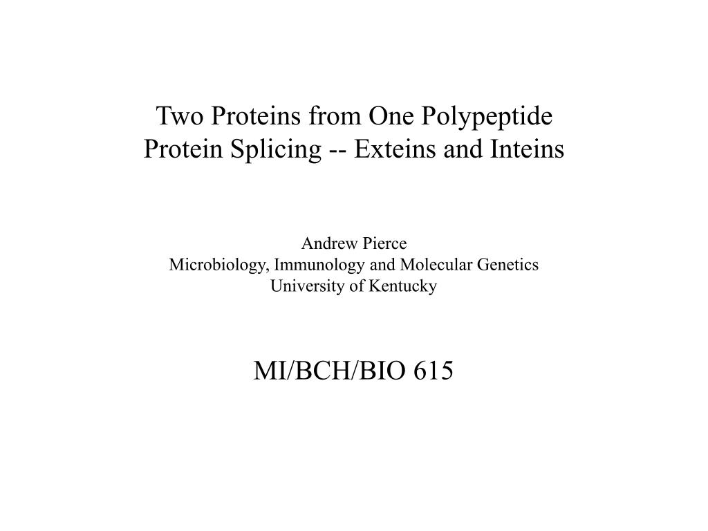 PPT - Two Proteins from One Polypeptide Protein Splicing -- Exteins and ...