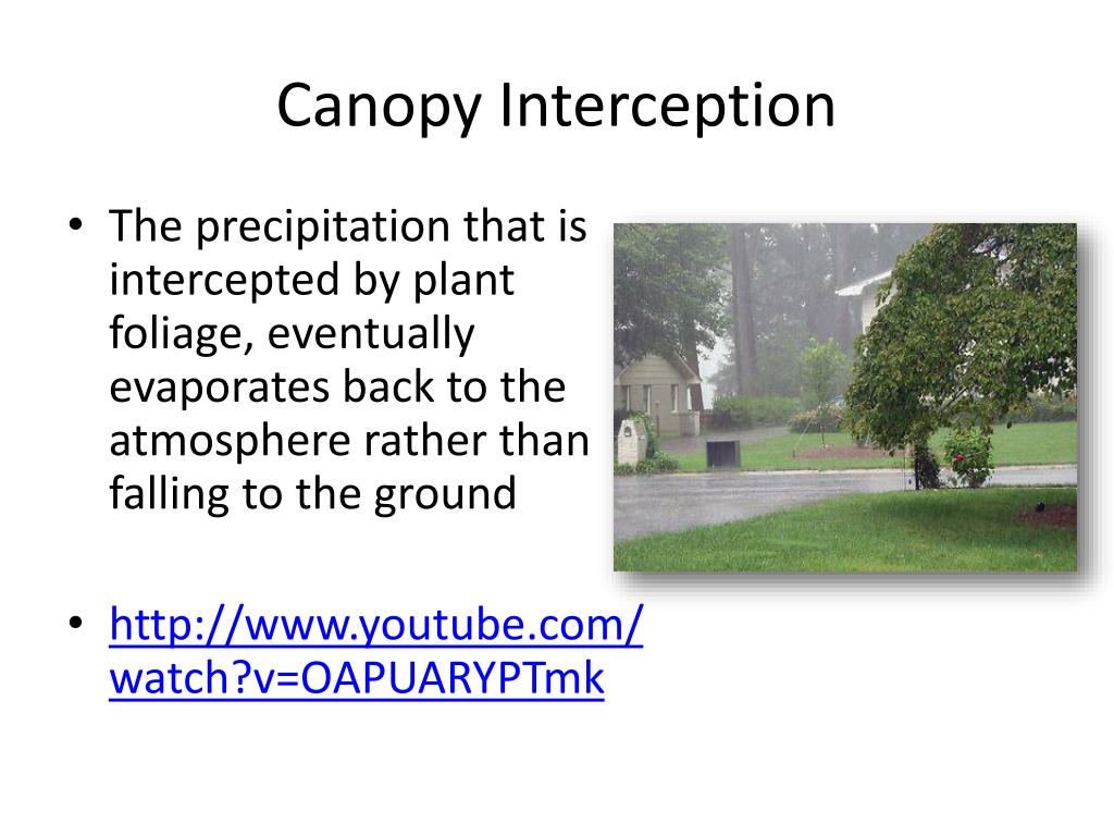 PPT - Water Cycle beyond evaporation, condensation, precipitation ...