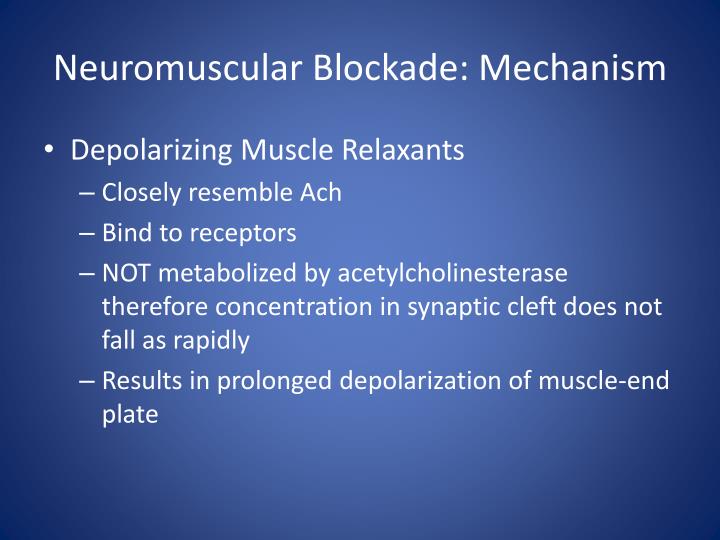 PPT - Neuromuscular Blocking Agents PowerPoint Presentation - ID:2244577