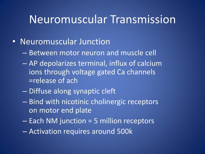 PPT - Neuromuscular Blocking Agents PowerPoint Presentation - ID:2244577