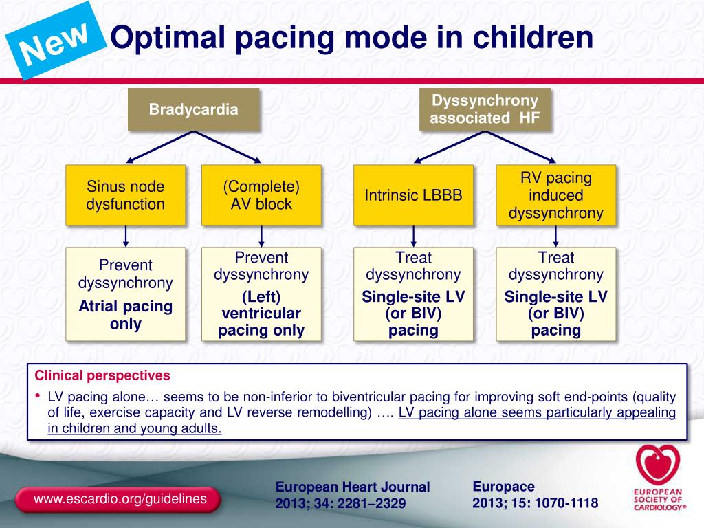 PPT - Indications on cardiac pacing and cardiac resynchronization ...
