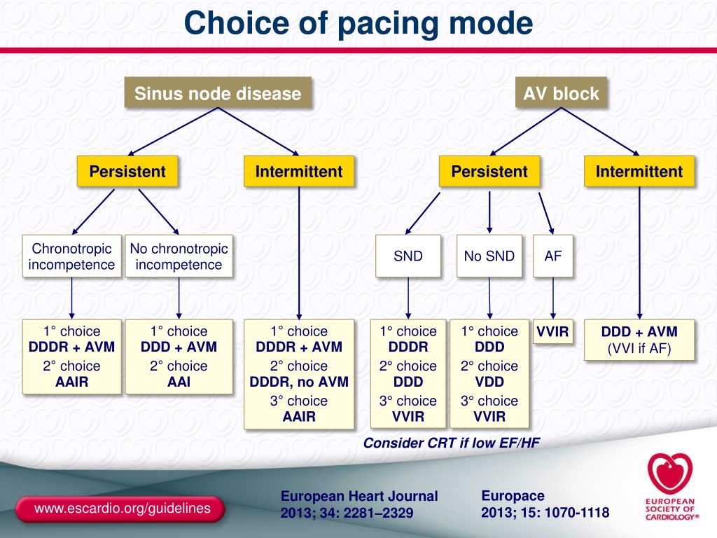 PPT - Indications on cardiac pacing and cardiac resynchronization ...