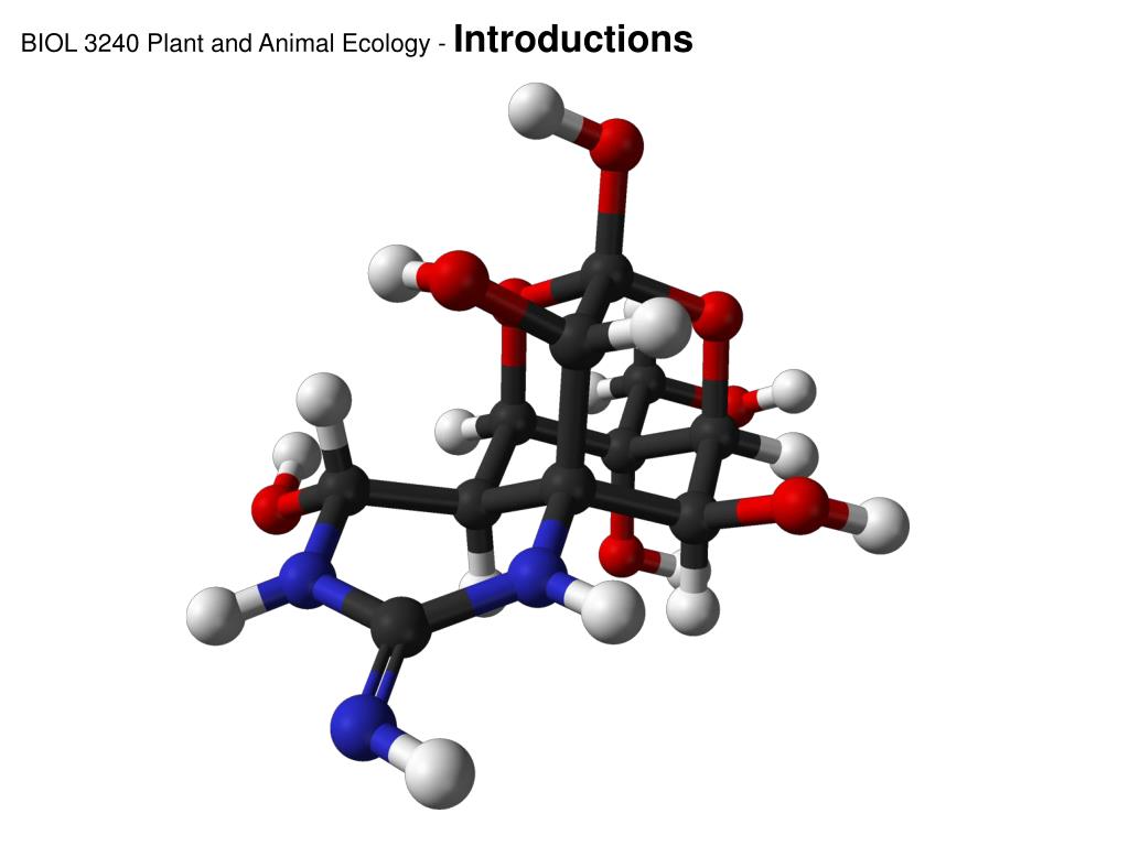 PPT - BIOL 3240 Plant and Animal Ecology - Introductions PowerPoint ...
