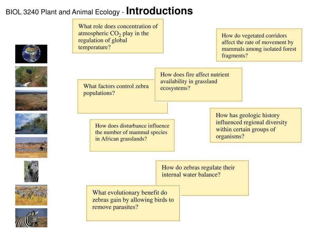 PPT - BIOL 3240 Plant and Animal Ecology - Introductions PowerPoint ...