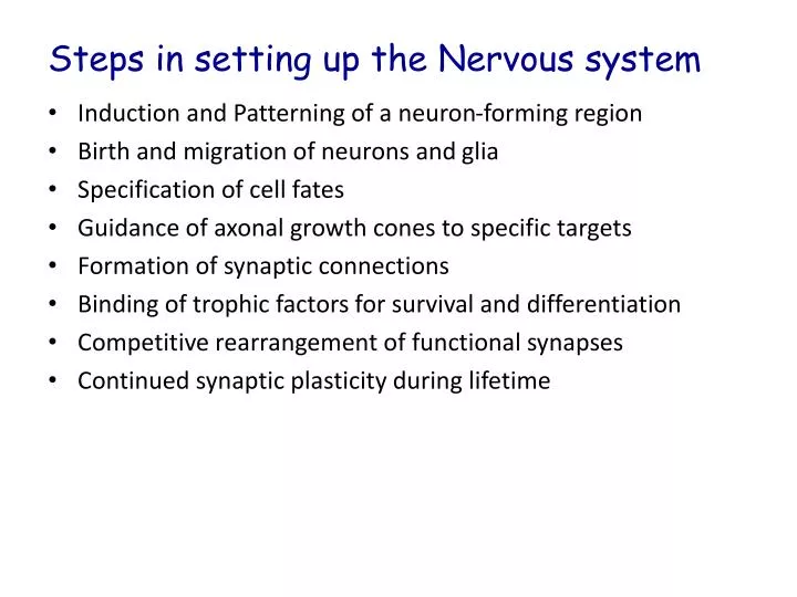 PPT - Steps in setting up the Nervous system PowerPoint Presentation ...